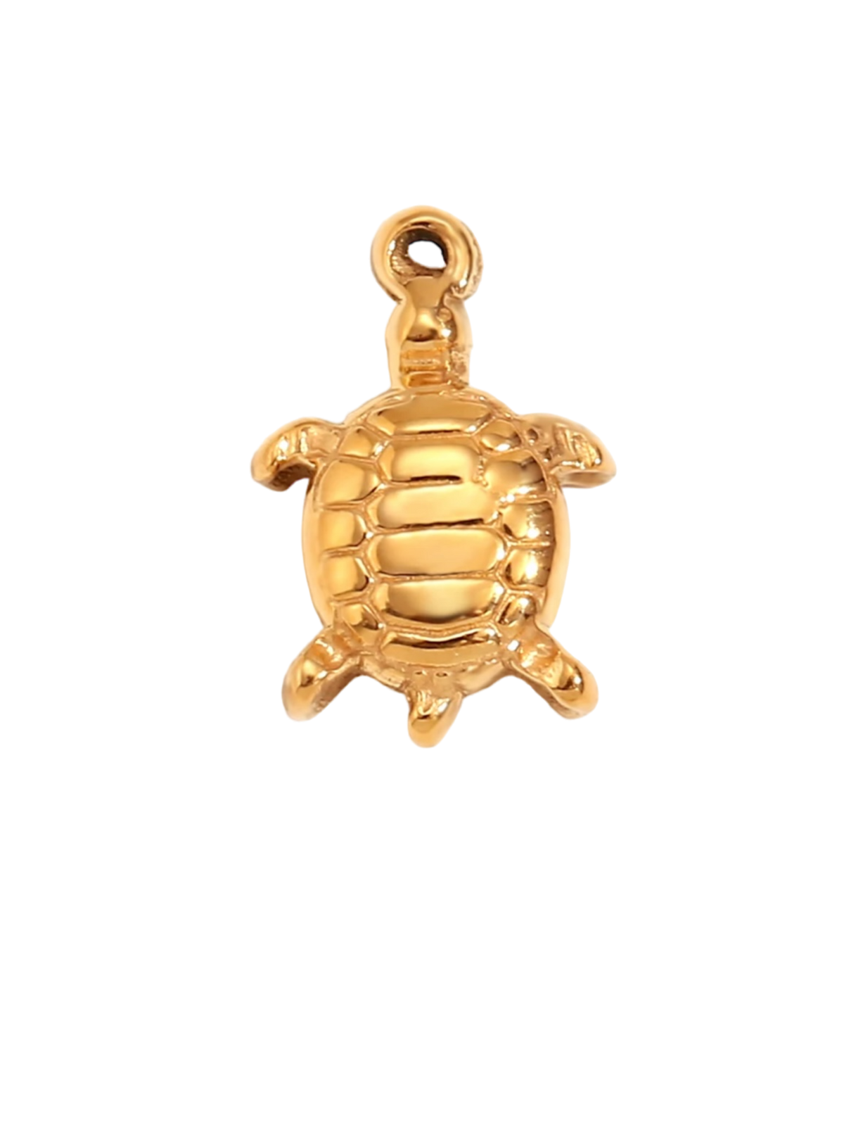 Turtle Charm | SEA BONES