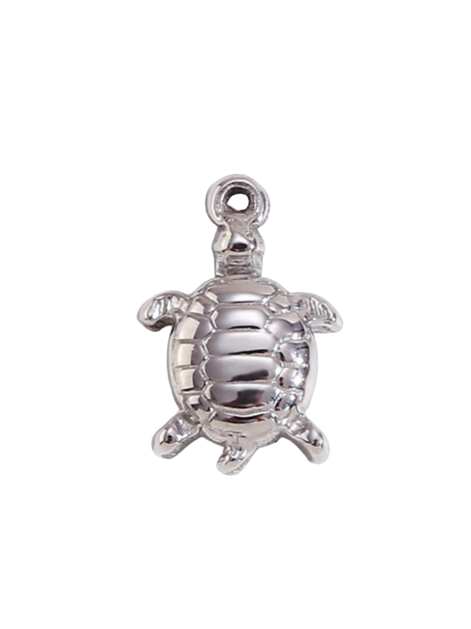 Silver Turtle Charm | SEA BONES